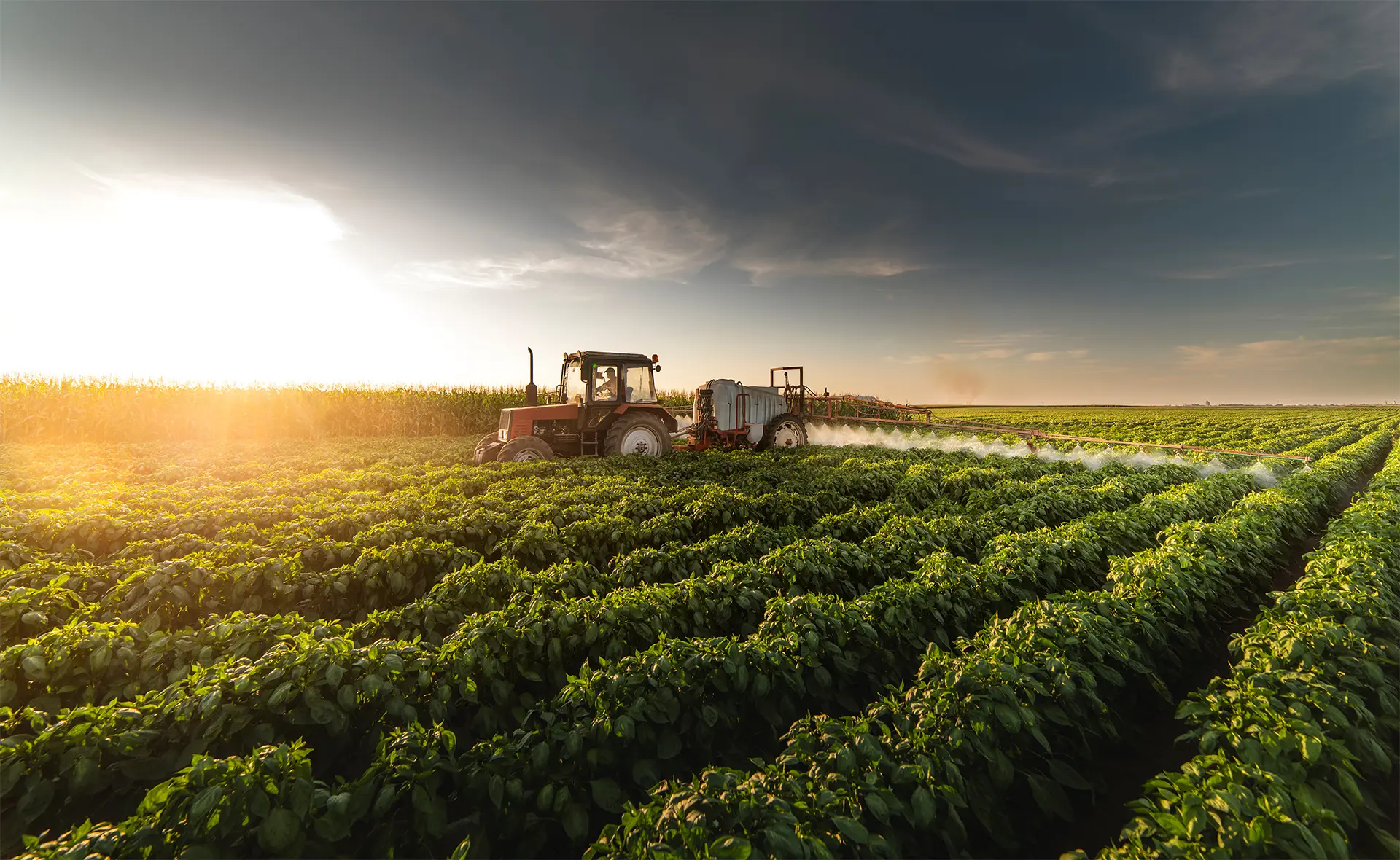 watering tractor – RMA